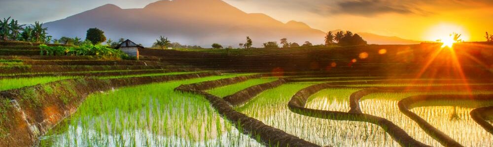 Famous Farms From Around the World - Folk News